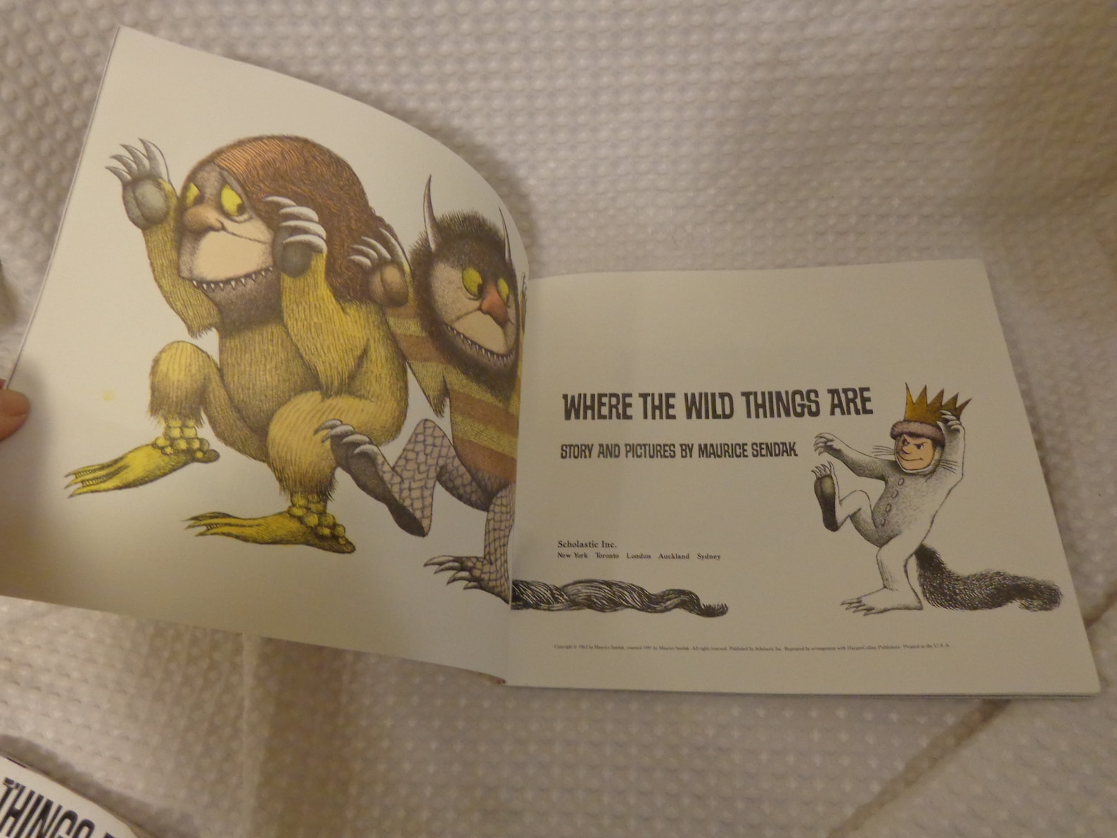 WHERE THE WILD Things Are - 25th Anniversary Hard Cover Caldecott Medal ...