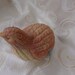 Hand Painted Ceramic Quail/partridge - Ceramic Quail - Brown Quail ...