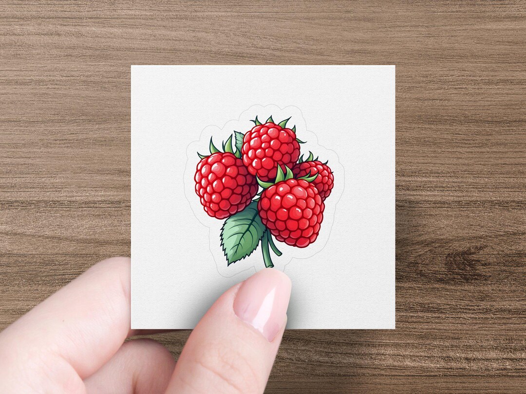 Cute Raspberry Stickers, Vinyl Raspberry Decals, Red Berry Fruit ...