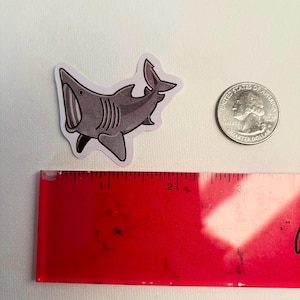 Whale Shark Sticker | Basking Shark Sticker - Etsy