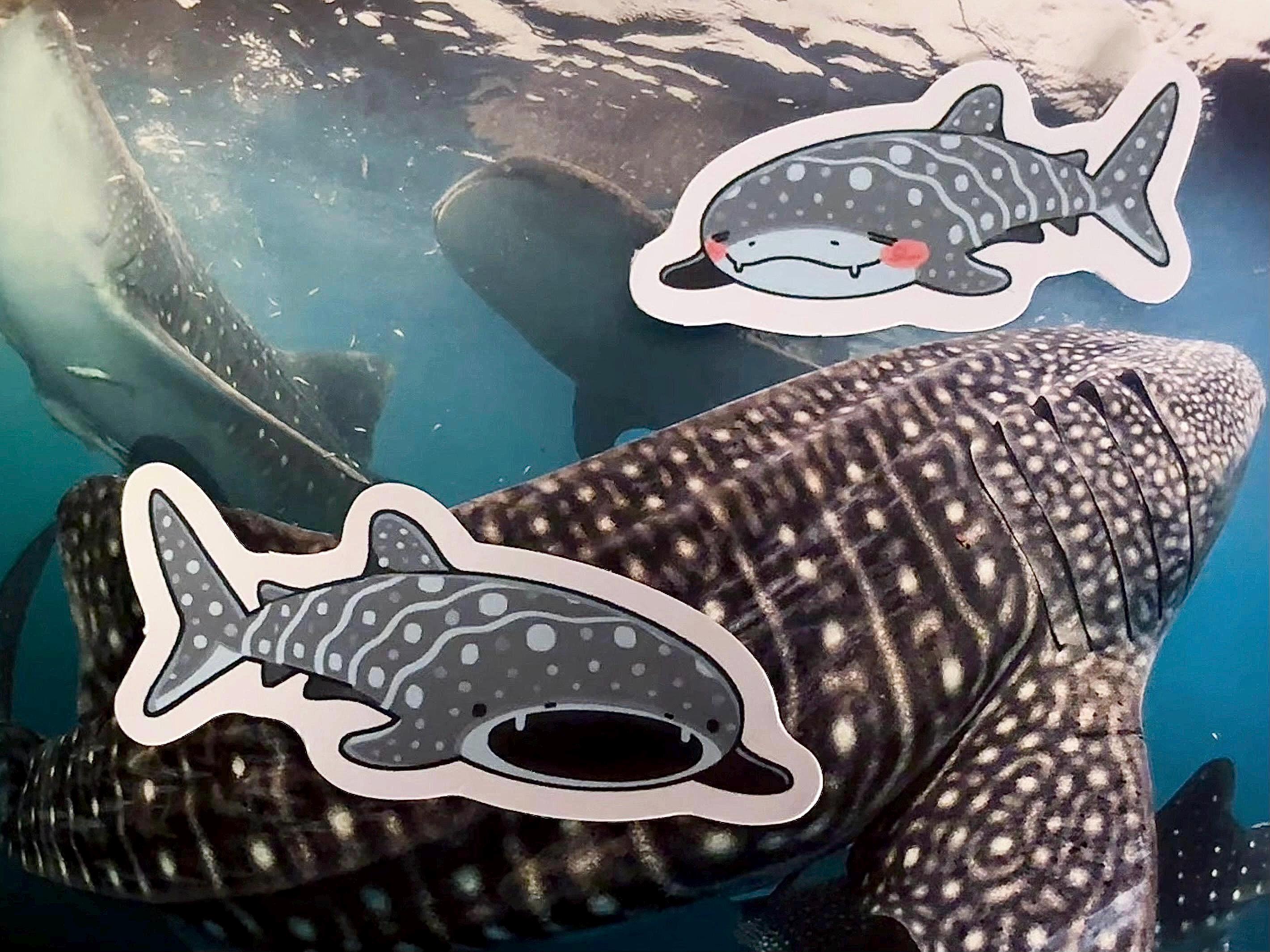 Whale Shark Sticker | Basking Shark Sticker - Etsy
