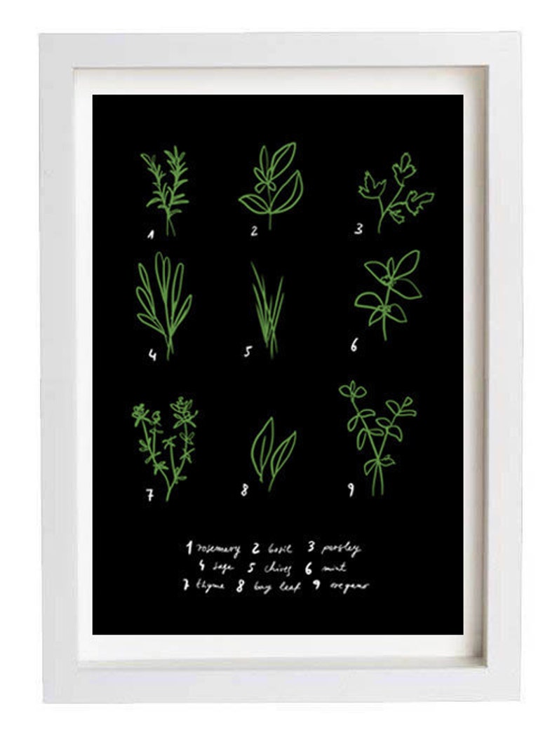 Botanical Chart Herbs Poster Print 20x27 - Etsy