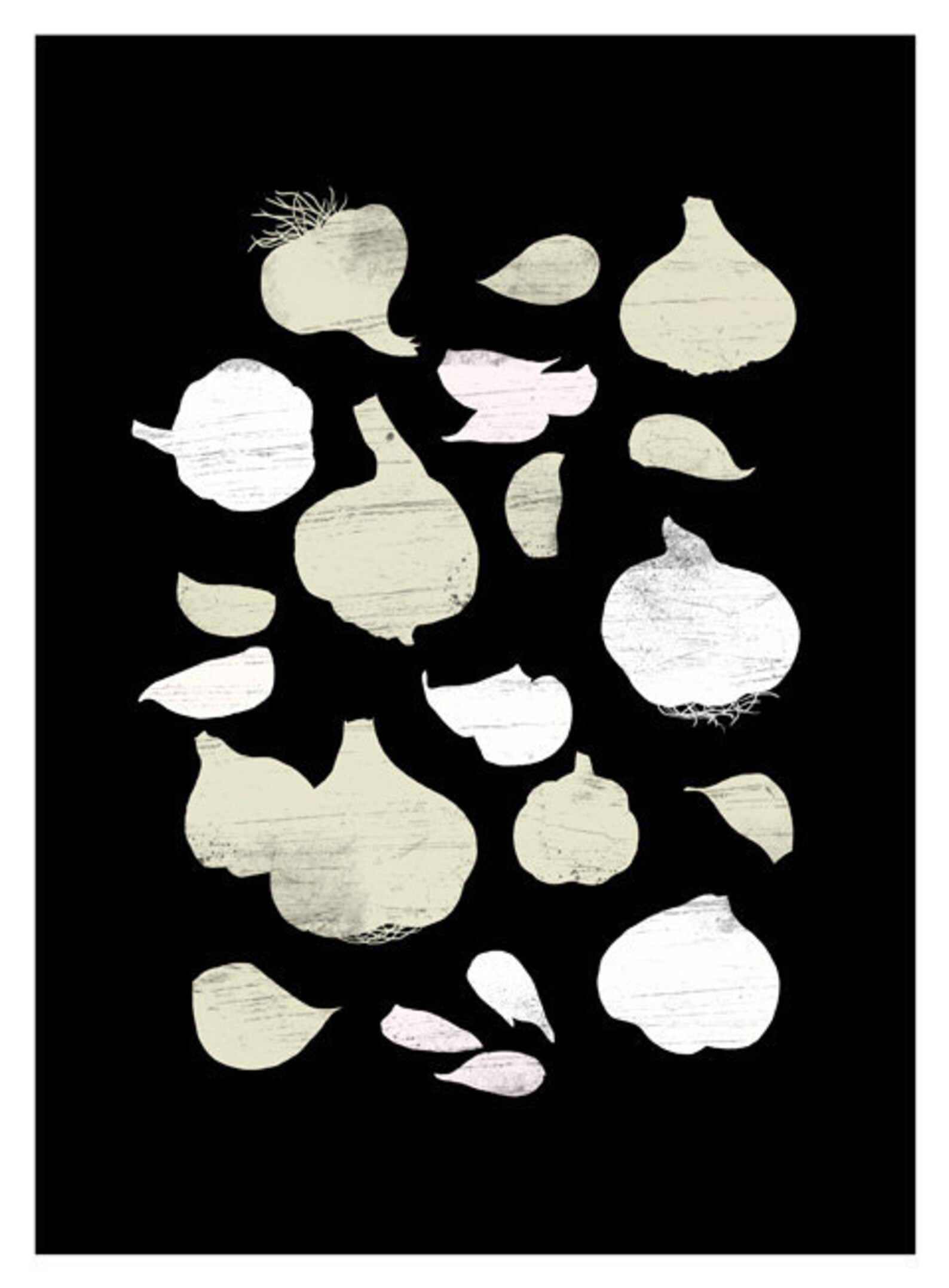Garlic Poster Print 20x27 Food Illustration - Etsy