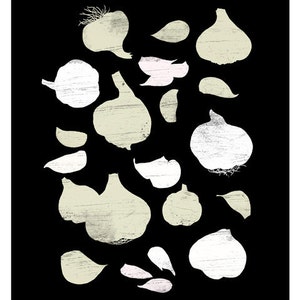 Garlic Poster Print 20x27 Food Illustration - Etsy