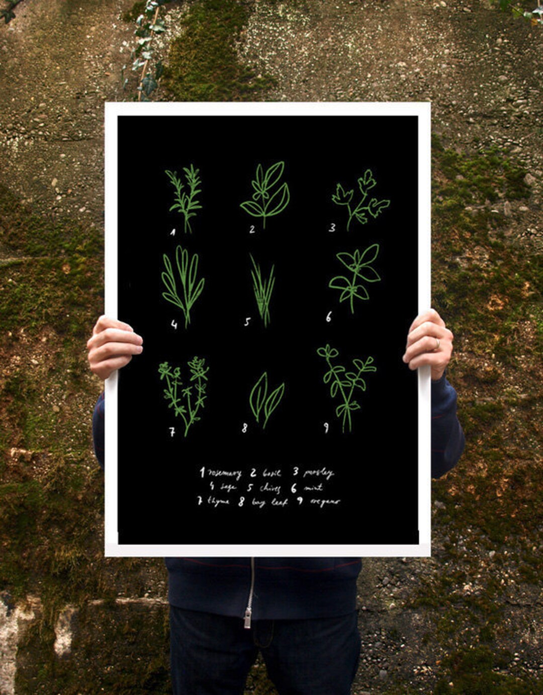 Botanical Chart Herbs Poster Print 20x27 Archival Fine Art Giclée Print ...