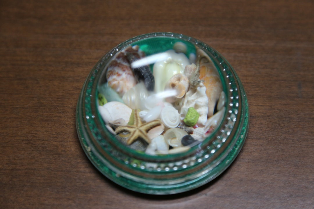 Vintage Retro Resin SEASHELL Starfish Paperweight - Etsy