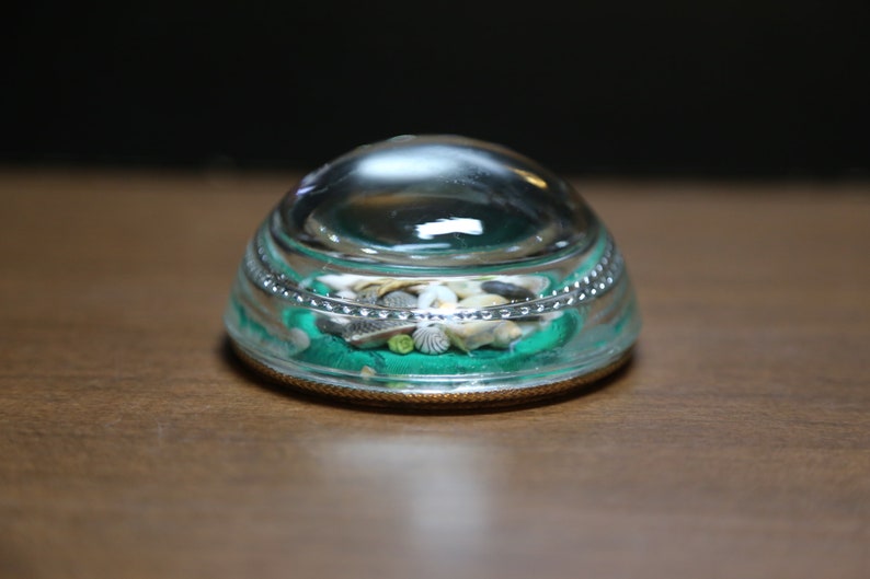 Vintage Retro Resin SEASHELL Starfish Paperweight - Etsy