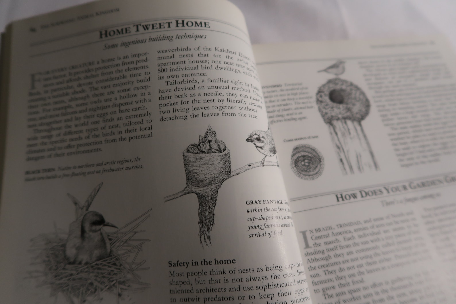 FACTS and Fallacies Book Stories of Strange & Unusual HC DJ - Etsy