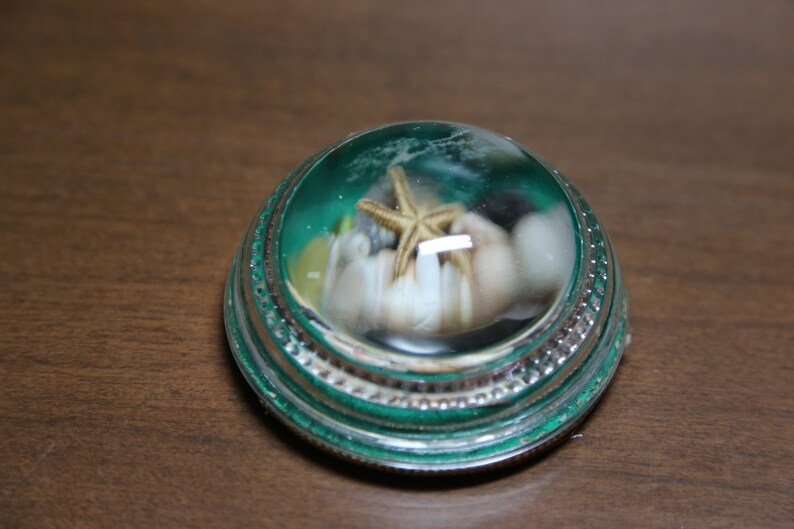 Vintage Retro Resin SEASHELL Starfish Paperweight - Etsy