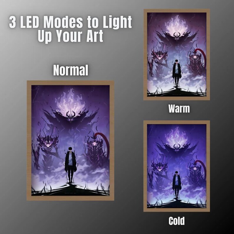 Light Frame Sung Jin-woo - Solo Leveling / Anime Poster - Etsy Canada