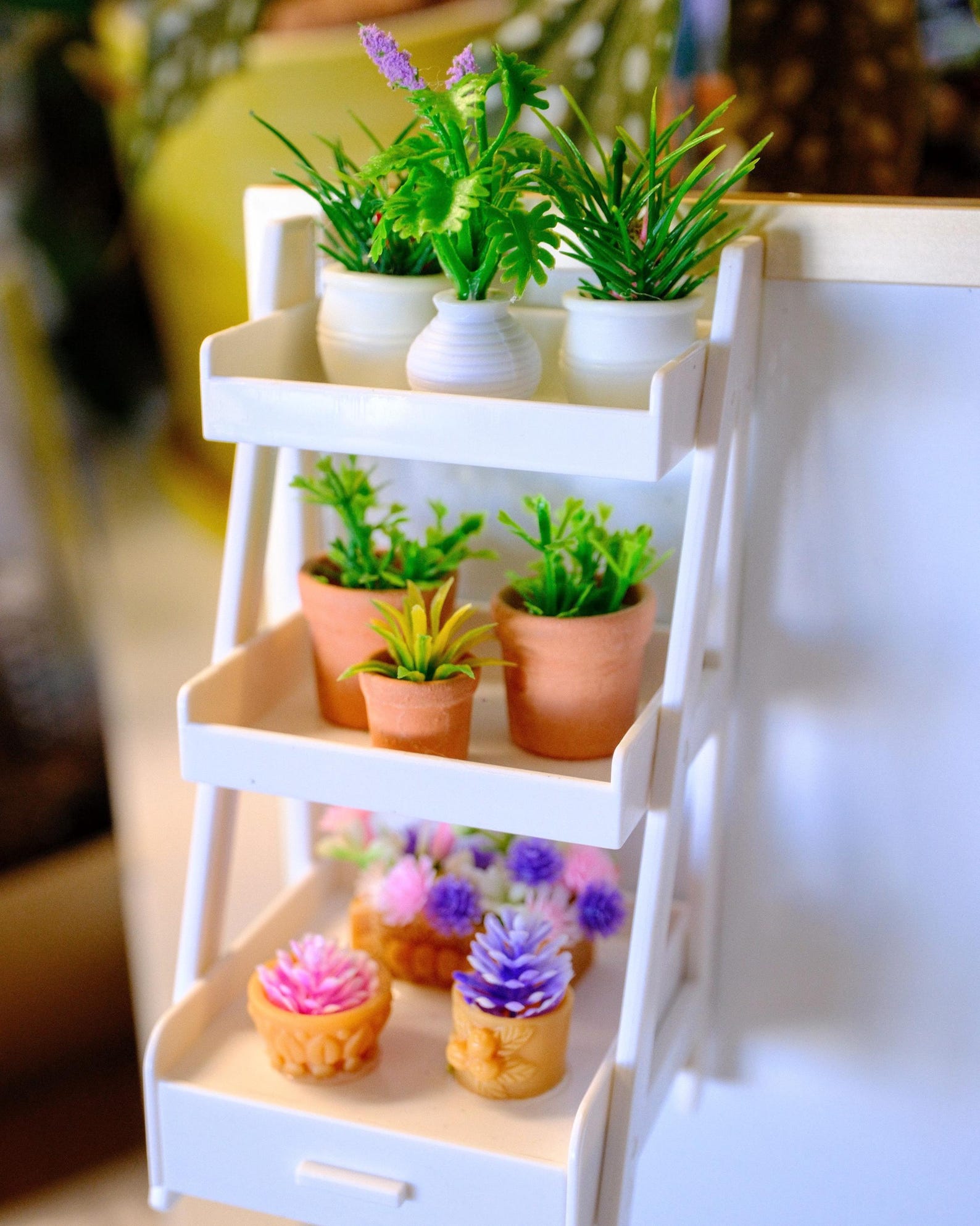 Miniature Botanical Ladder Shelf Magnet – Colorful Pleasures Potted ...