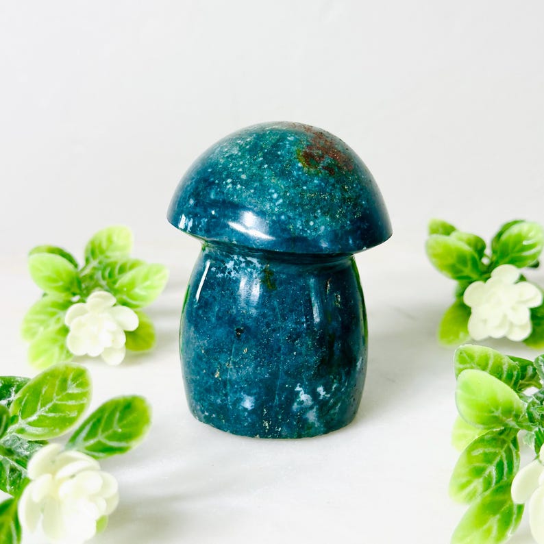 Polychrome Jasper Mushroom | Blue, White & Brown | Natural Crystal ...