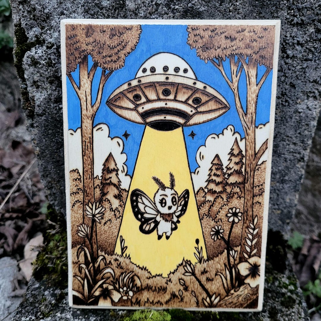Hand Wood Burned Moth UFO Adbuction Wall Hanging. Pyrography. Kawaii ...