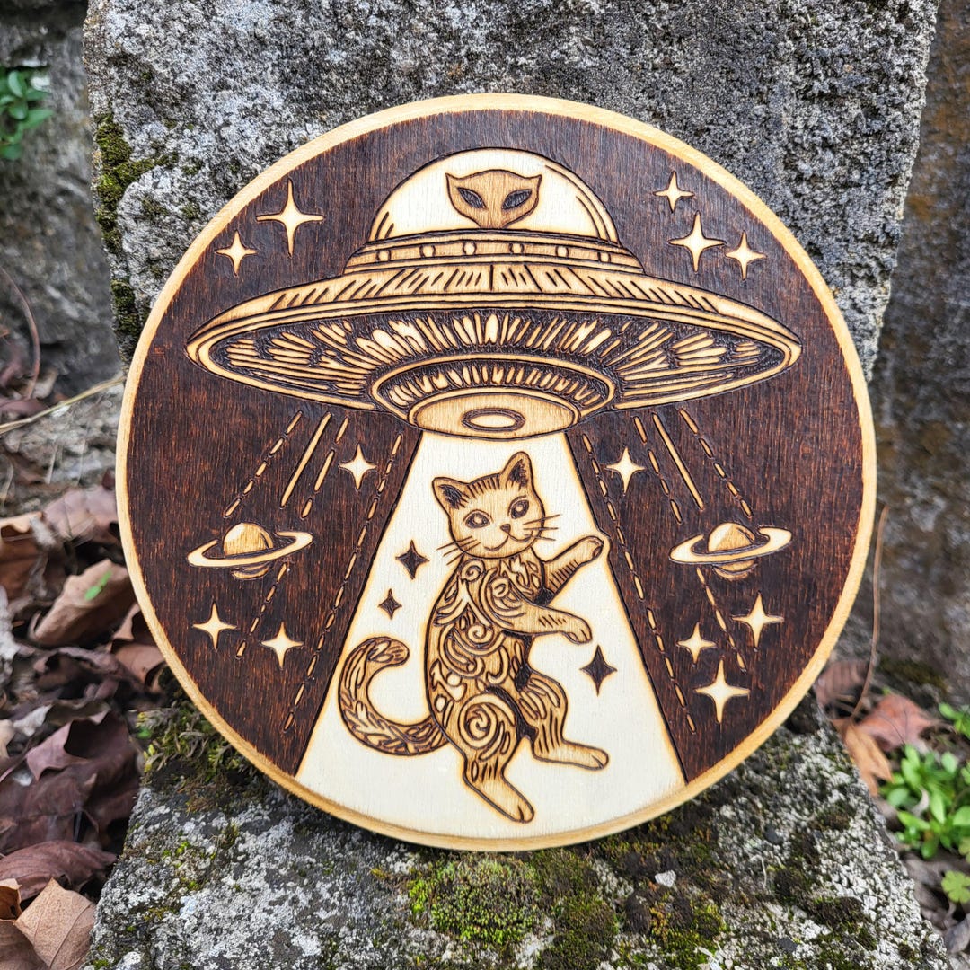 Made to Order. Hand Wood Burned Kitty Abduction Wall Hanging. Alien ...