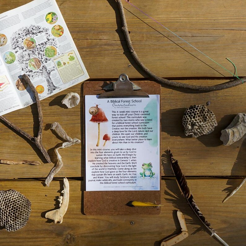 A Biblical Forest School Curriculum - Etsy