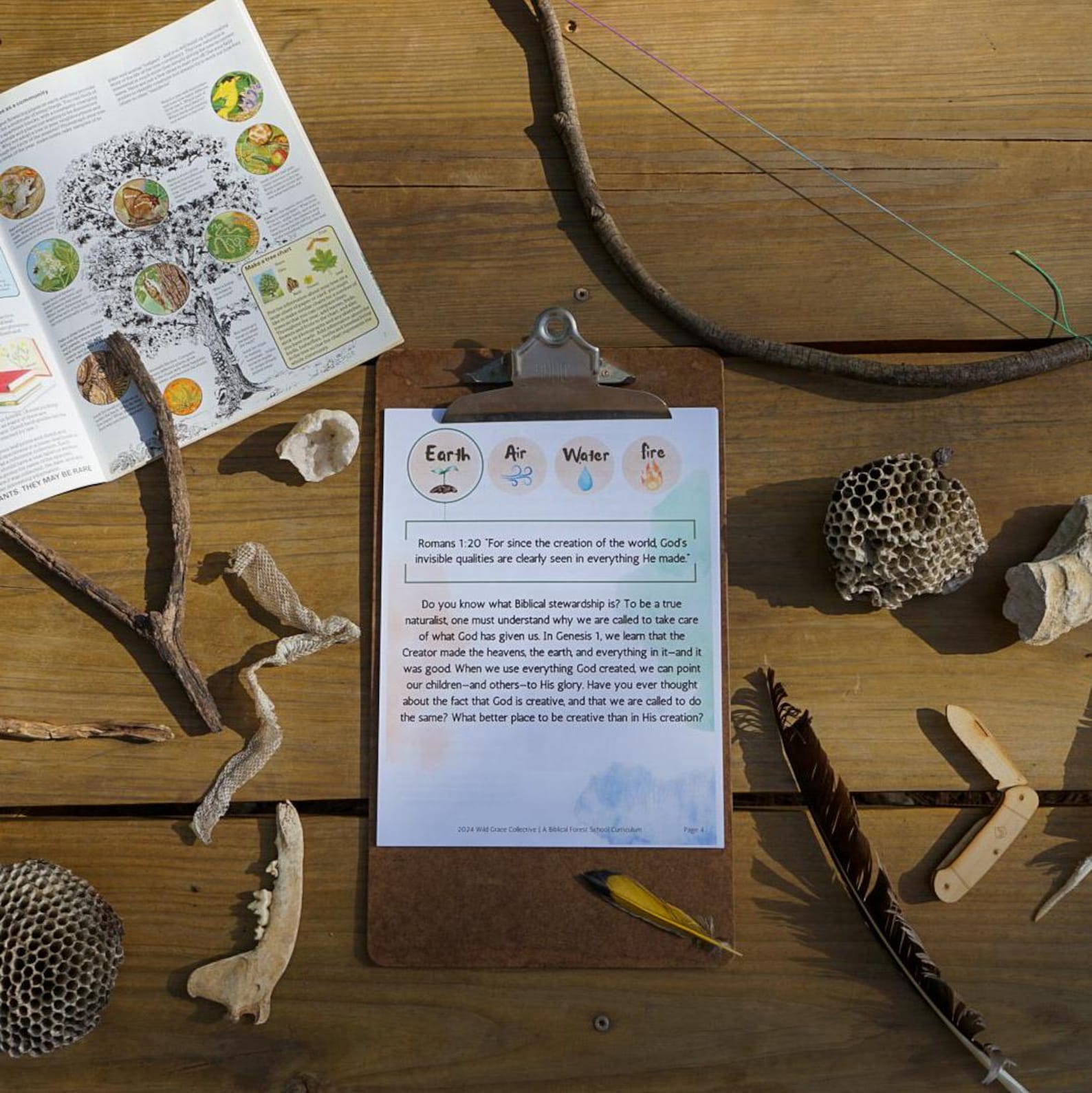 A Biblical Forest School Curriculum - Etsy