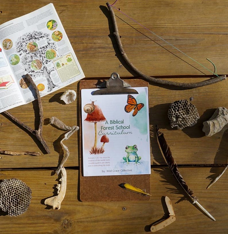 A Biblical Forest School Curriculum - Etsy
