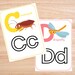 Insect Alphabet Flash Cards: ABC Printable Learning (PDF Download) - Etsy