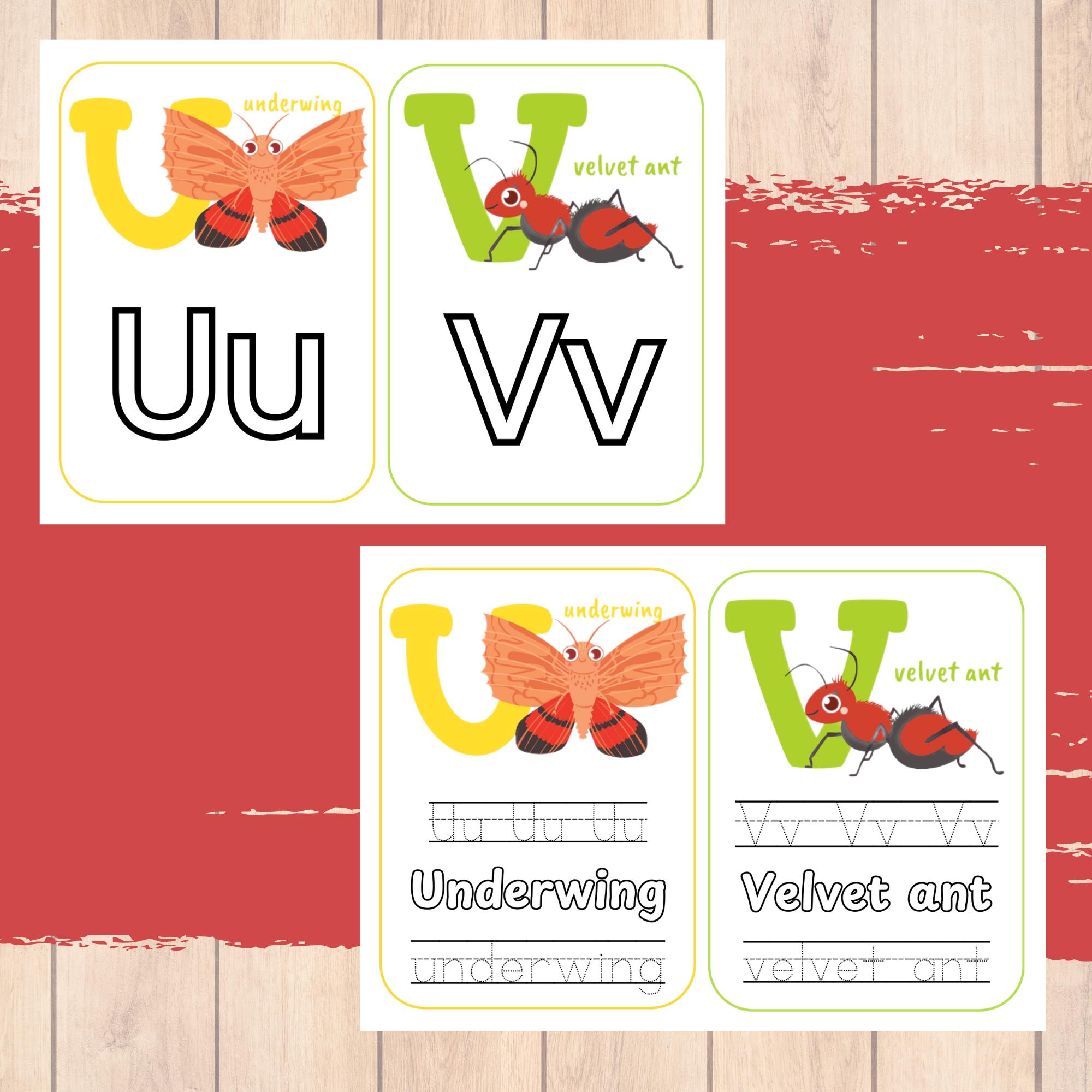 Insect Alphabet Flash Cards: ABC Printable Learning (PDF Download) - Etsy