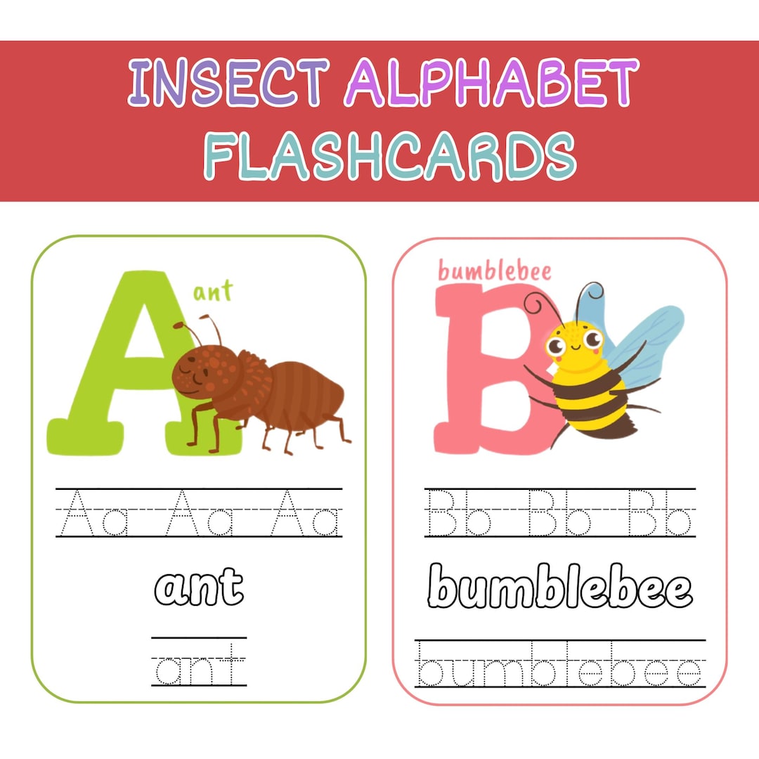 Insect Alphabet Flash Cards: ABC Printable Learning (PDF Download) - Etsy