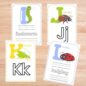 Insect Alphabet Flash Cards: ABC Printable Learning (PDF Download) - Etsy