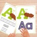 Insect Alphabet Flash Cards: ABC Printable Learning (PDF Download) - Etsy
