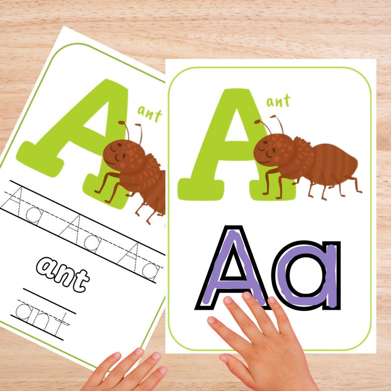 Insect Alphabet Flash Cards: ABC Printable Learning (PDF Download) - Etsy