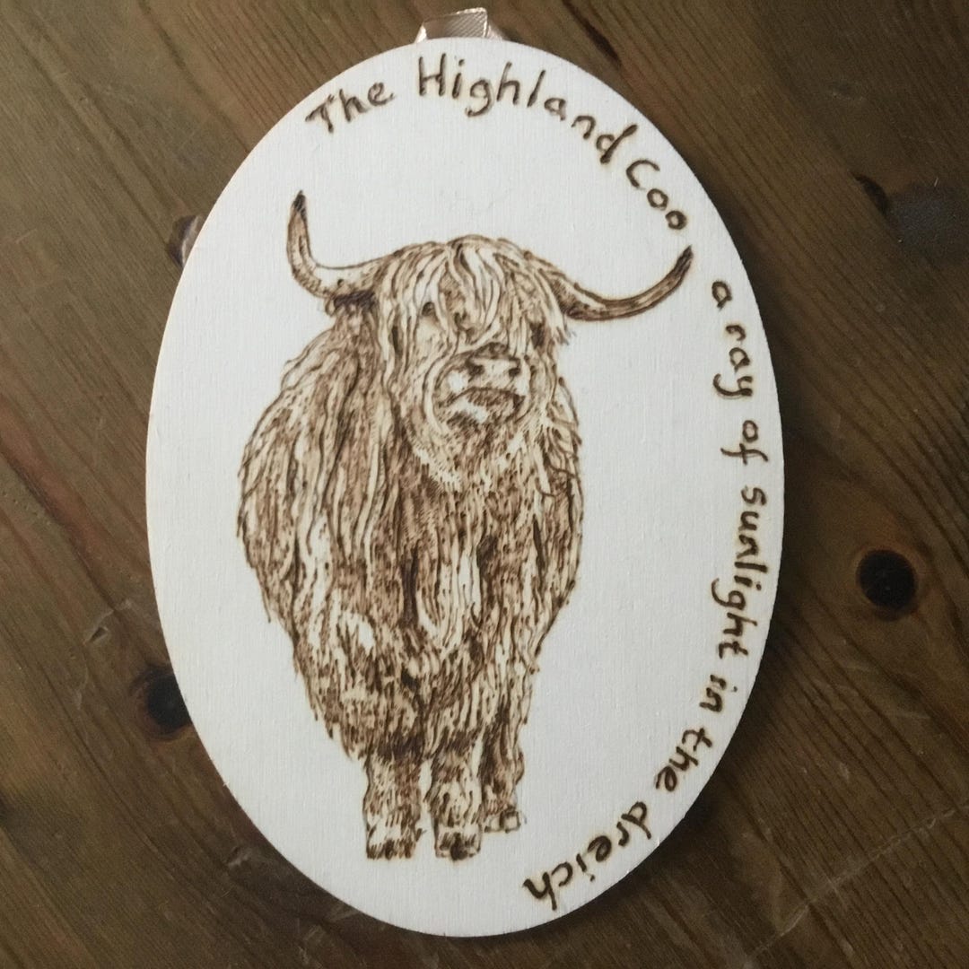 Highland Cow Coo Hand Drawn Oval Pyrography Wood Burning Art 5x7” - Etsy