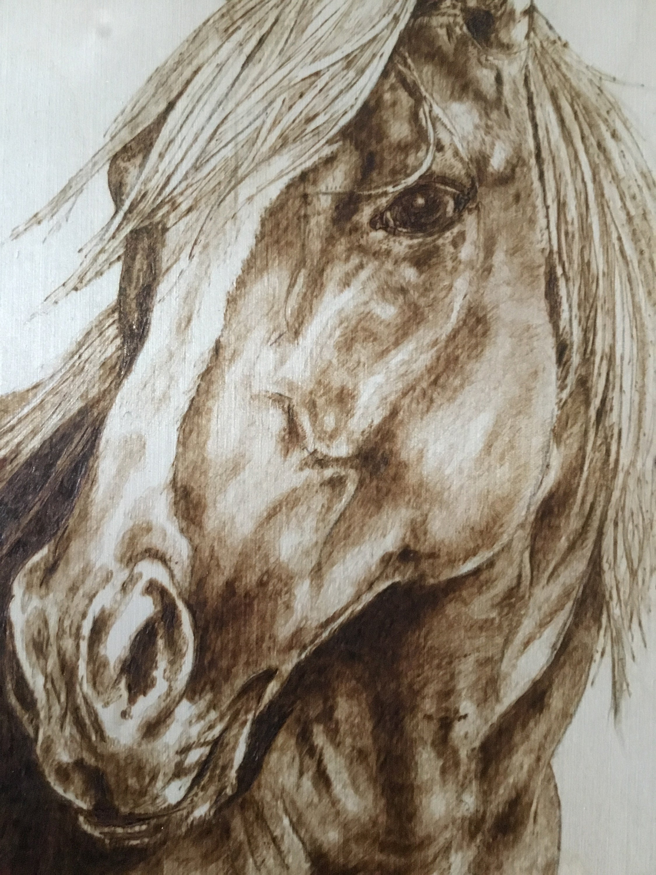 Horse Pyrography Wood Burning on Birch Plywood A4 Hand Drawn - Etsy