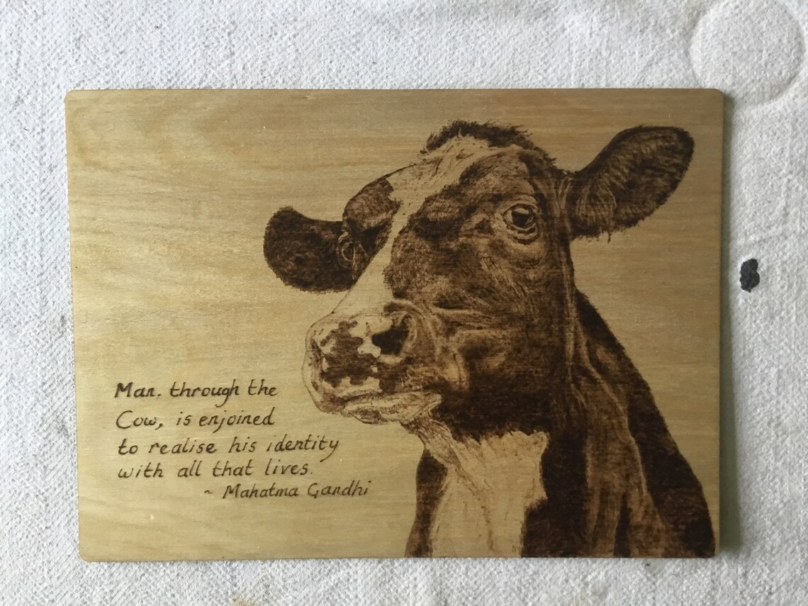 Holy Cow Unique Pyrography on Birch Plywood - Etsy