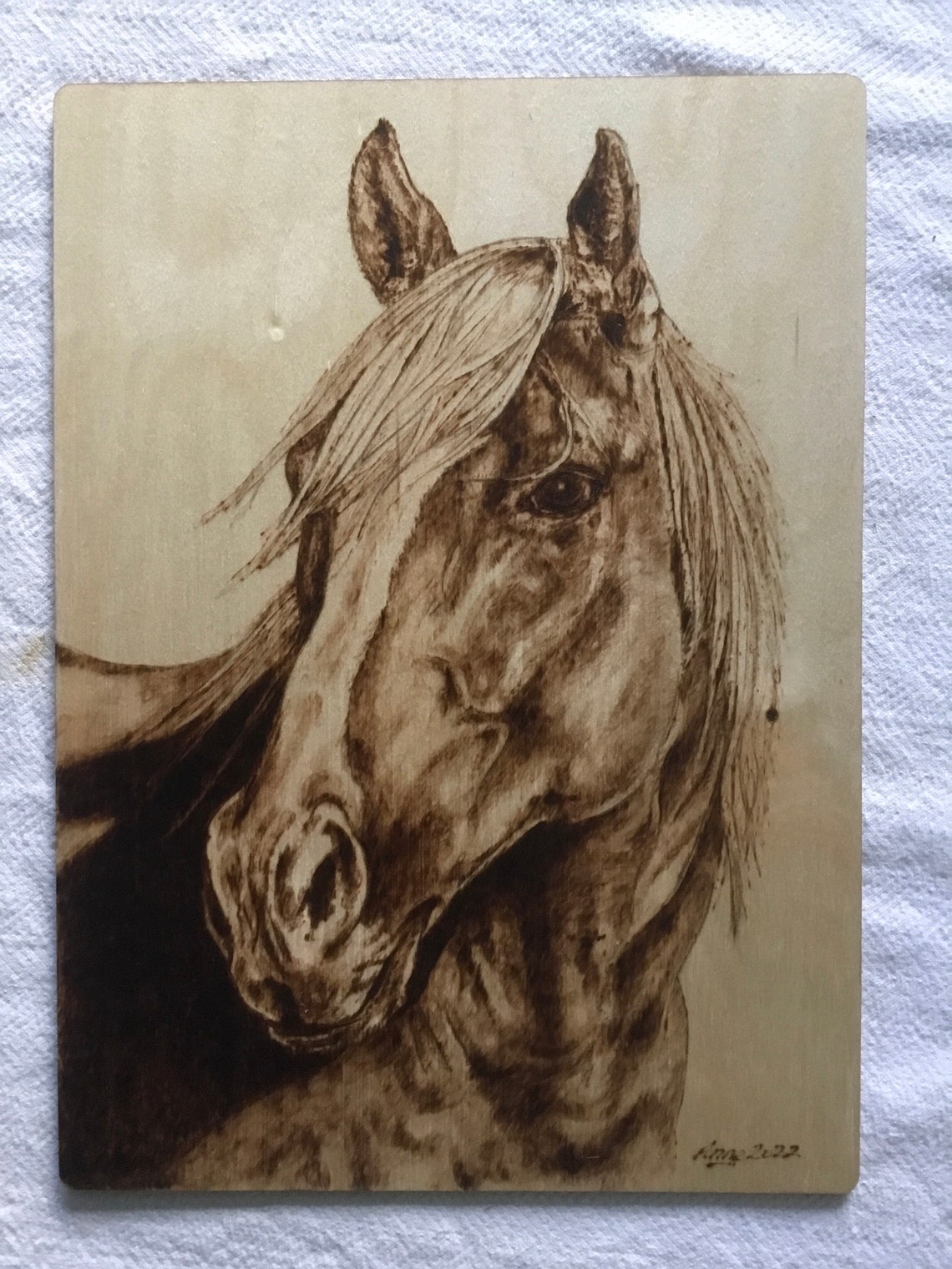 Horse Pyrography Wood Burning on Birch Plywood A4 Hand Drawn - Etsy