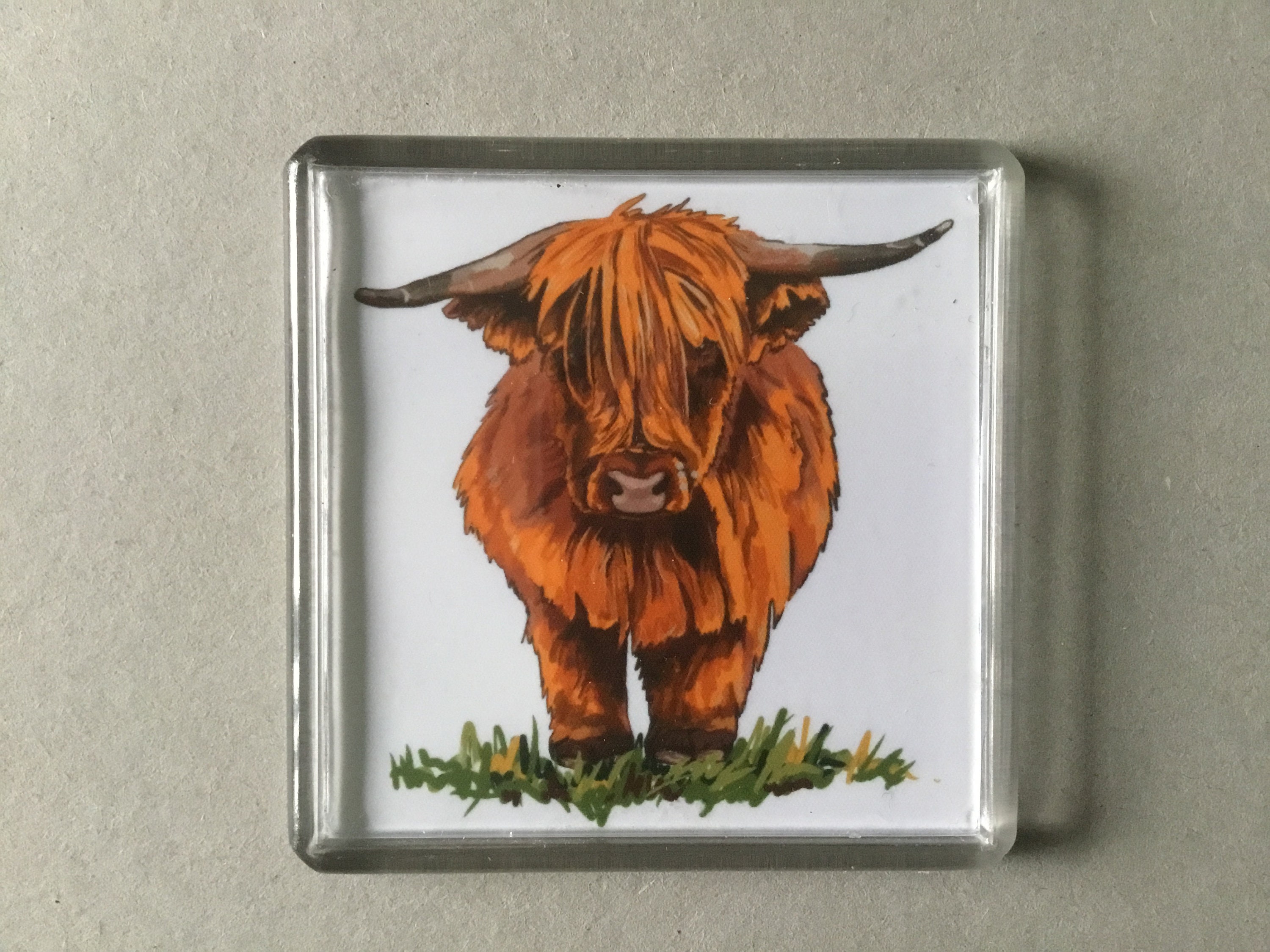 Cow Acrylic Fridge Magnet - Cute Highland Cow Decor - Etsy