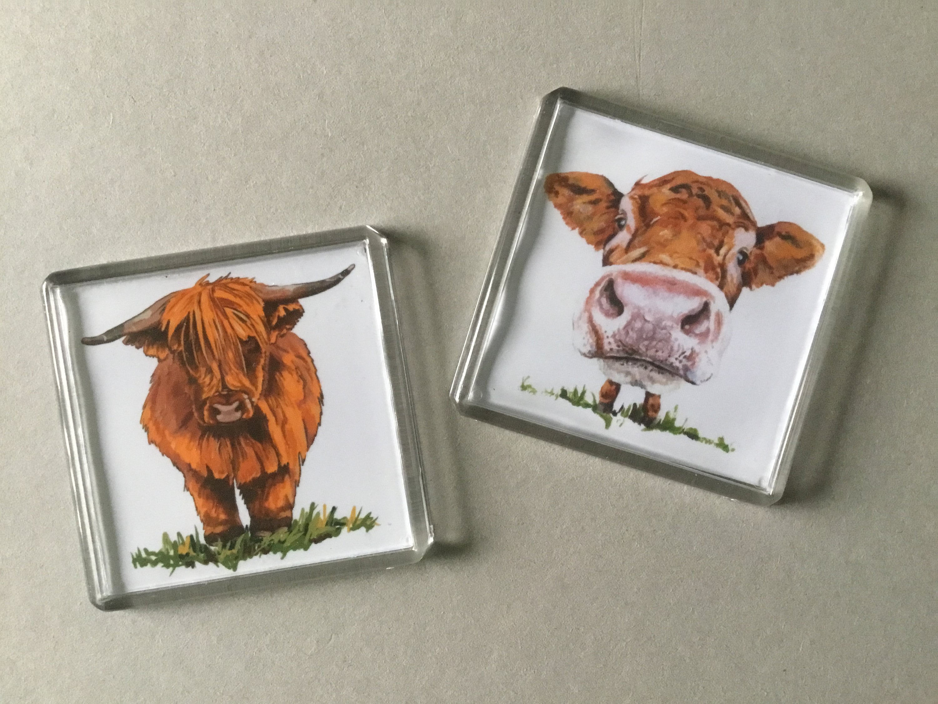 Cute Cow or Highland Cow Fridge Magnet - Etsy