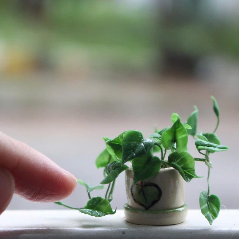 Miniature Plants - Etsy