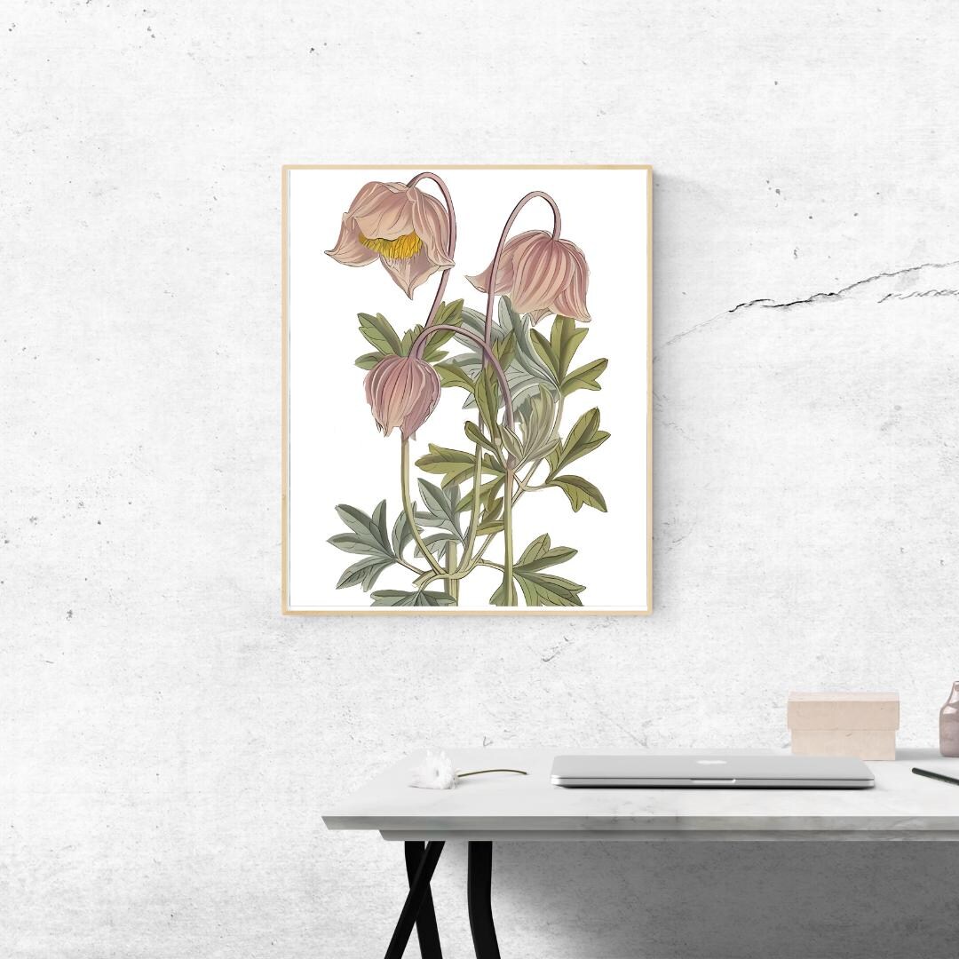 Clematis Botanical Print | Vintage Floral Wall Art | Digital Download ...