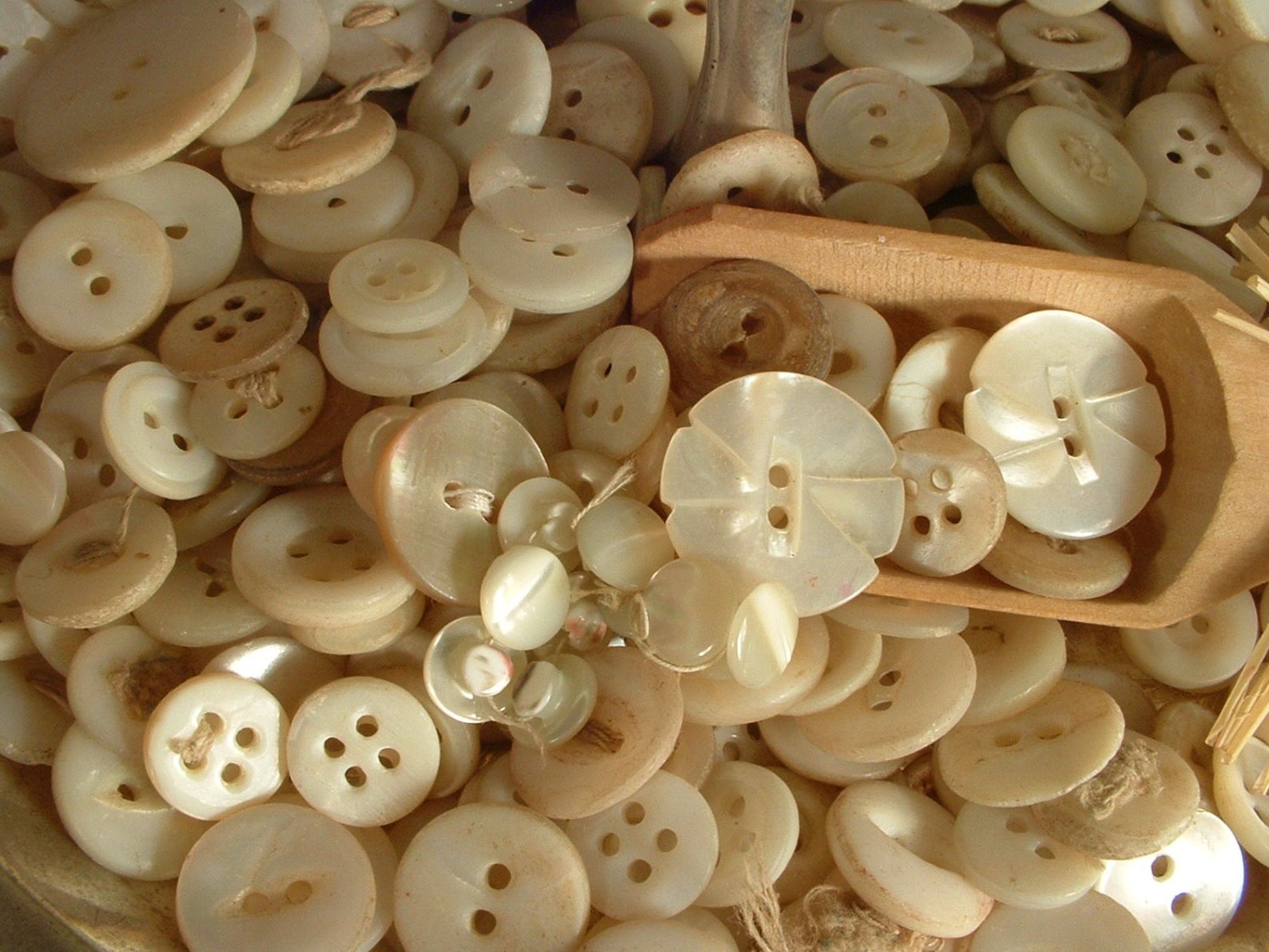 Vintage Mother of Pearl Buttons, Lot of 50 Antique Sewing Buttons, True ...