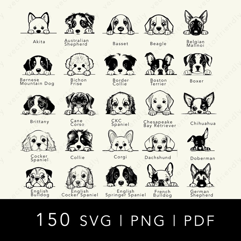 Puppy SVG Bundle, Puppy Breed SVG Bundle, Puppy Face SVG, Puppy Head ...