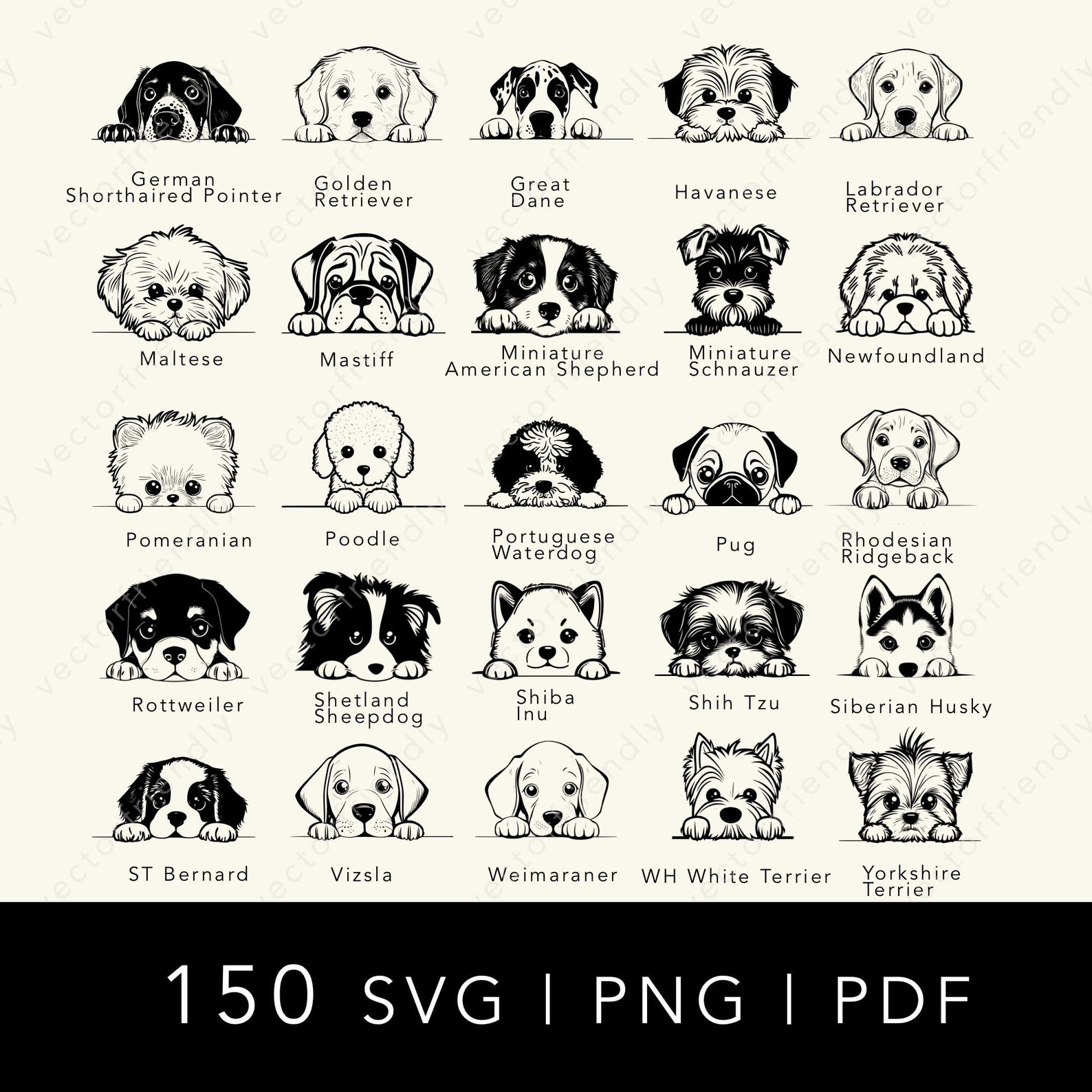 Puppy SVG Bundle, Puppy Breed SVG Bundle, Puppy Face SVG, Puppy Head ...