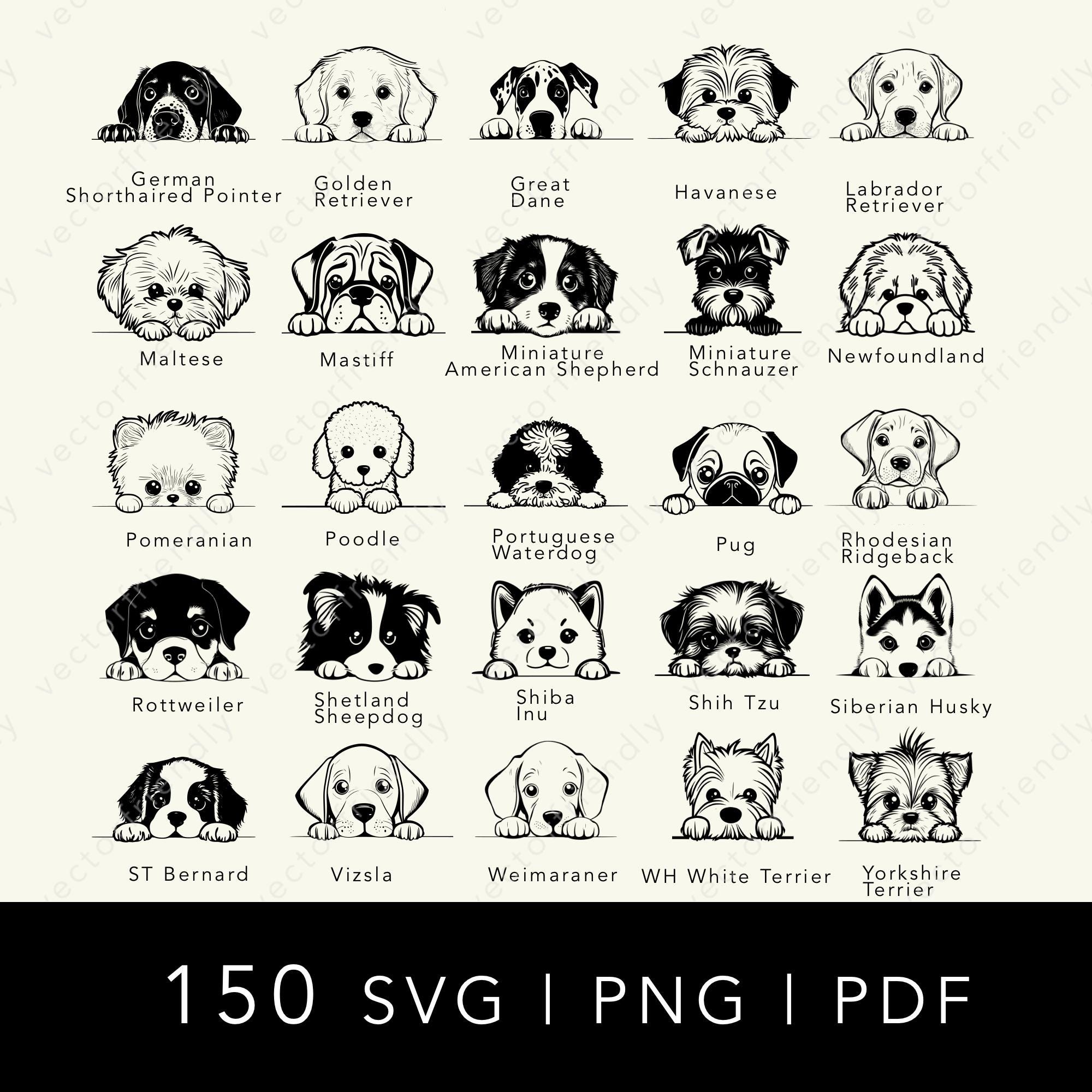 Puppy SVG Bundle, Puppy Breed SVG Bundle, Puppy Face SVG, Puppy Head ...