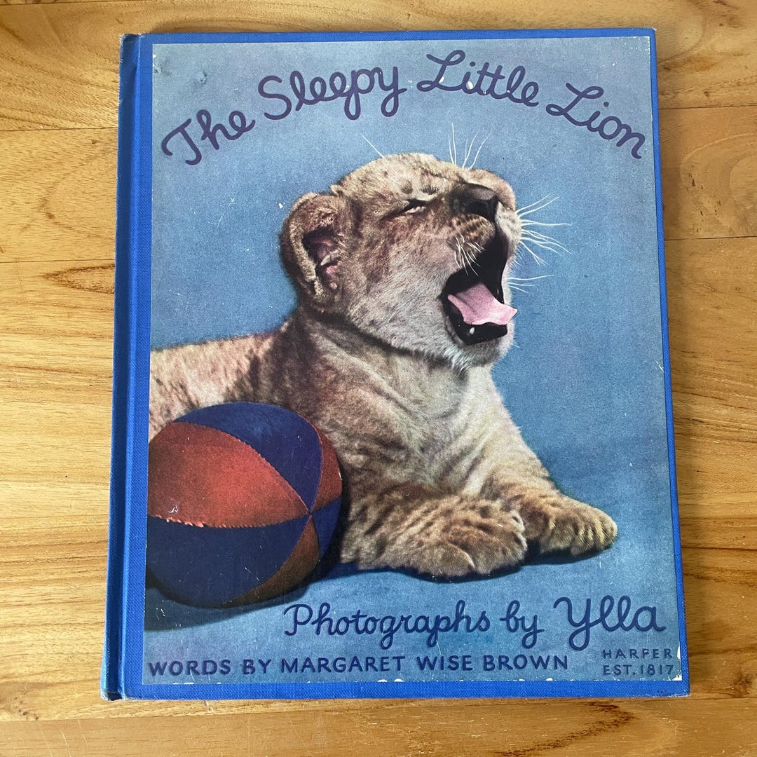 RARE the Sleepy Little Lion by Margaret Wise Brown, Photographs by Ylla ...