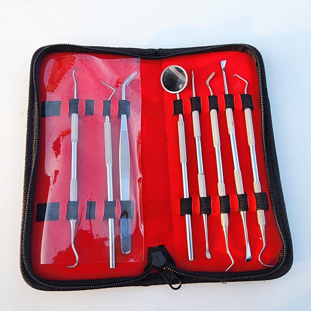Handmade Dental Examination Kit | 8-piece Professional Dental Tool Set ...