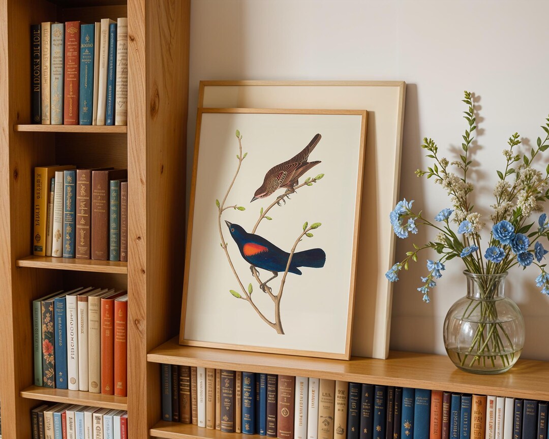 Vintage Starling Bird Art Printable Retro Bird Art Antique Wall Decor ...