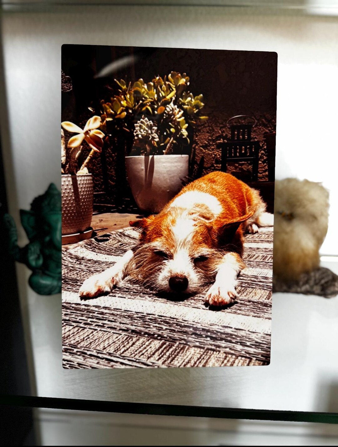 Custom Aluminum Dog Photo Print - Sublimation Pet Portrait 11X8 - Etsy