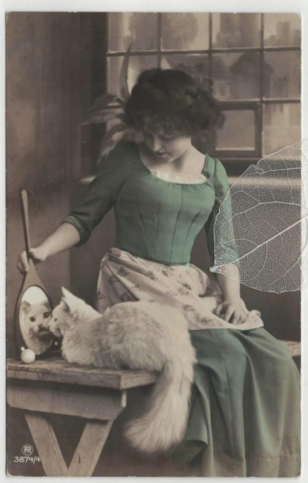 1910s MISS WALLY'S White Furry Cat Looks at His REFLECTION Antique ...