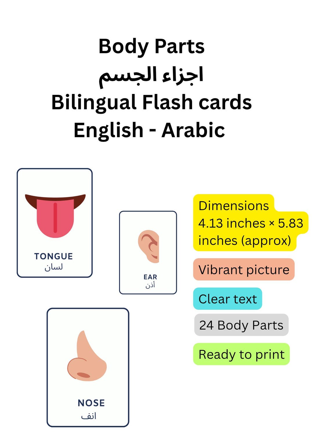 Body Parts Flashcards- Bilingual ( English- Arabic) - Etsy