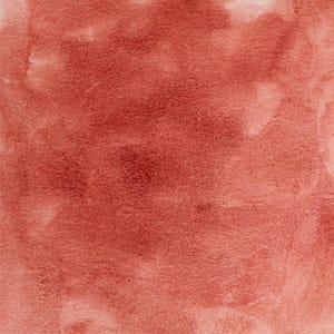 Venetian Red Earth Handmade Watercolor Paint | All Natural Single ...