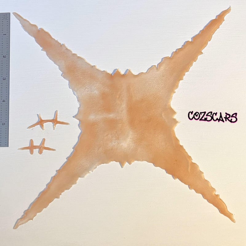 Luffy X Scar Template - Etsy Canada