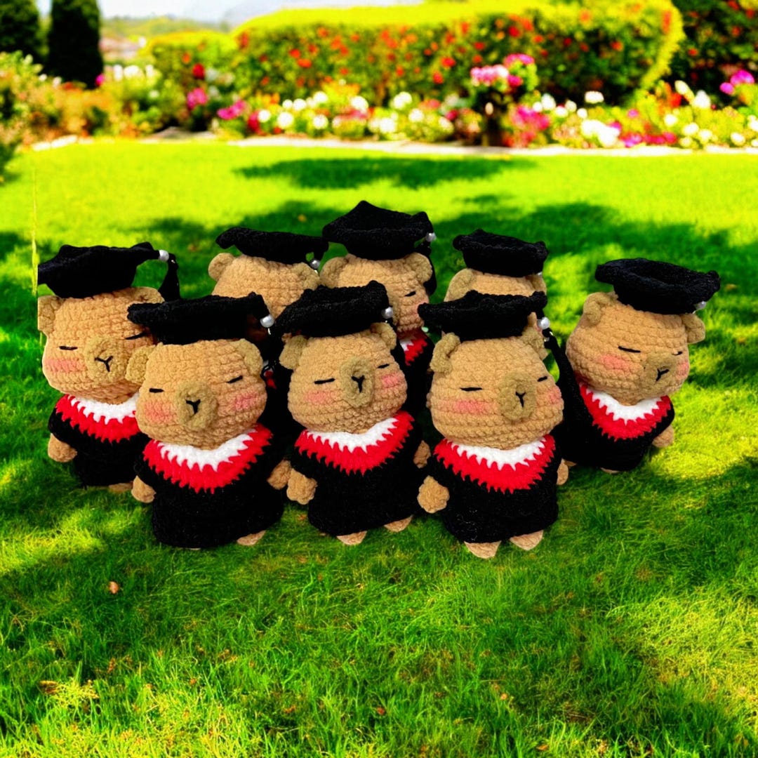 Capybara Graduation Crochet Pattern, Capybara Amigurumi Pattern, Easy ...