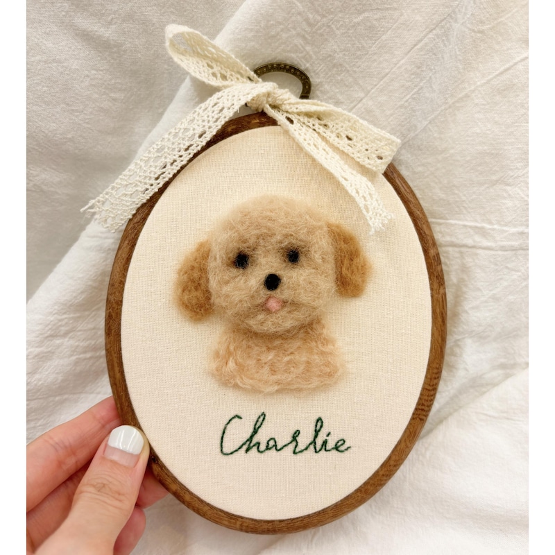 Recycle Pet 1 Plastic - Etsy