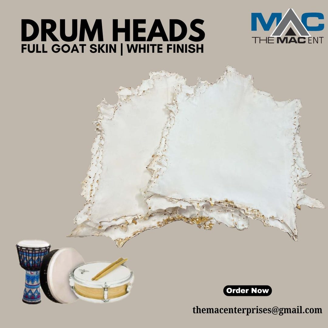 Supper White Full Goat Skins for Drum /djembes /shaman Drums - Etsy